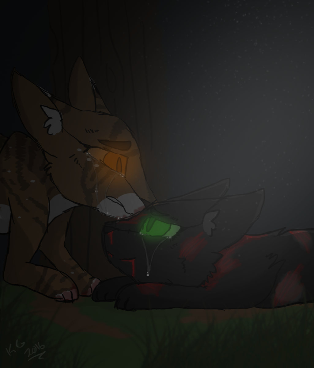 Hollyleaf's Death[REMAKE] by KitKatCartoonist on DeviantArt