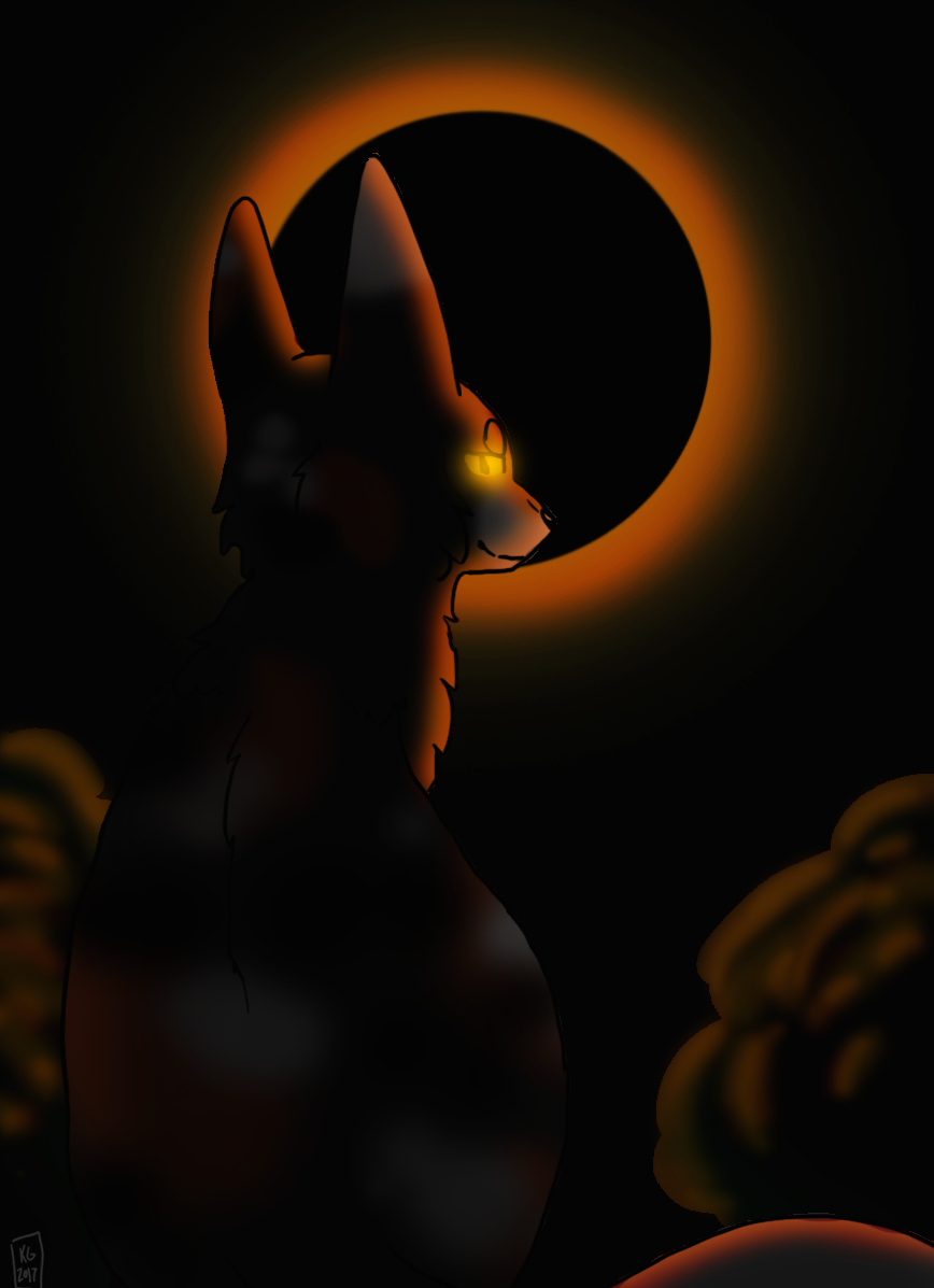 Warrior Cats- Sol by KitKatCartoonist on DeviantArt