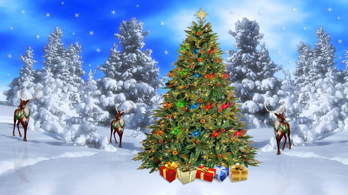 Wilderness Christmas Scene by Frankief on DeviantArt