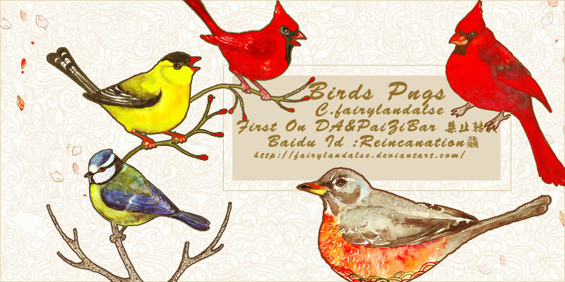 Bird Png by Fairylandalse on DeviantArt