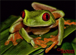 Animated Robofrog by The-Bandit77 on DeviantArt