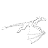 Dragon Flight Animation by the-art-junky on DeviantArt