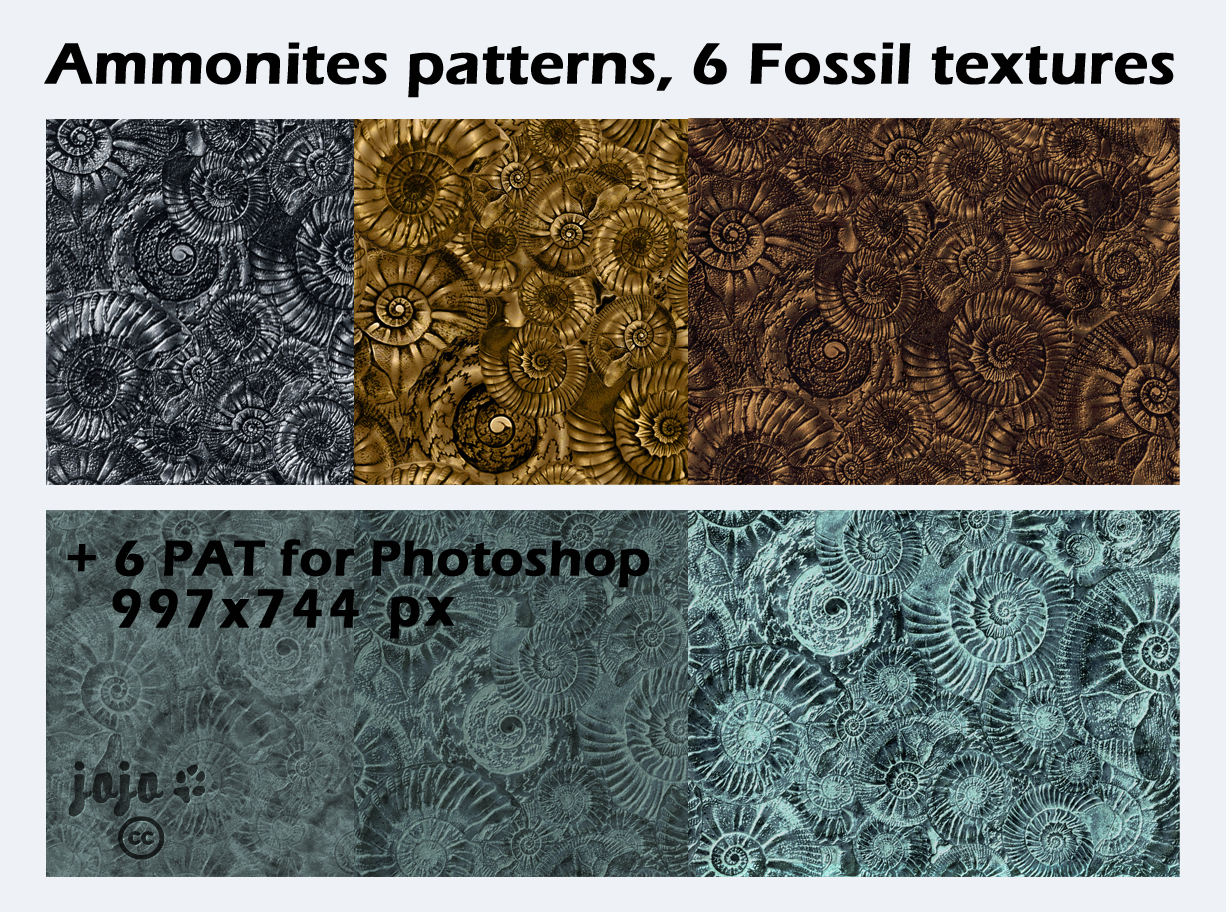 Ammonites patterns, 6 Fossil textures by jojo-ojoj on DeviantArt