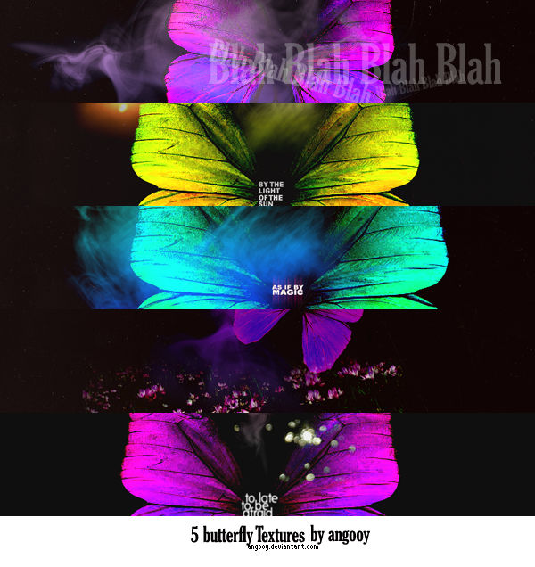 butterfly Textures by ANGOOY on DeviantArt