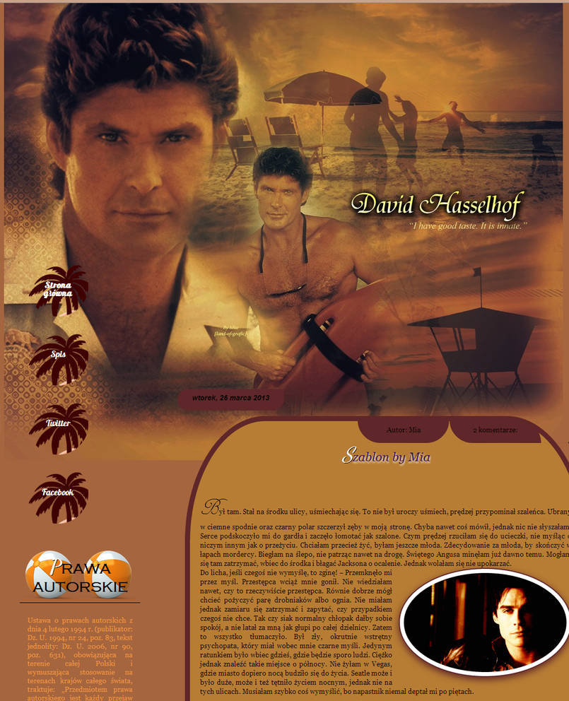 David Hasselhoff by dzudi91 on DeviantArt