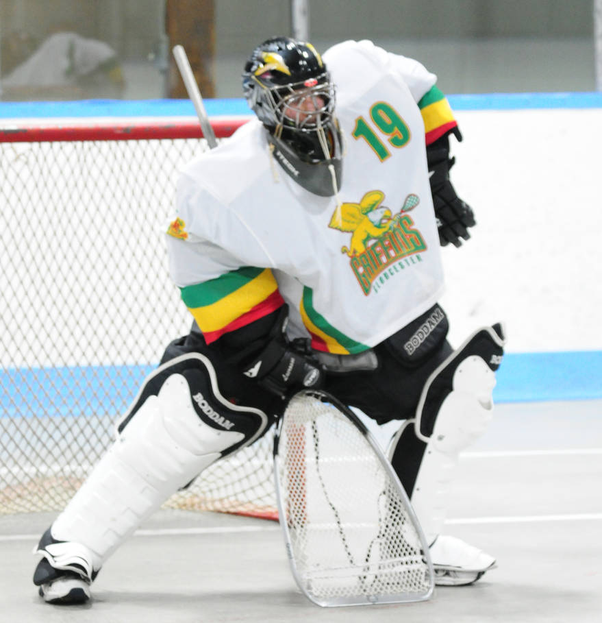The compete box lacrosse goalie by hopelessdragon on DeviantArt
