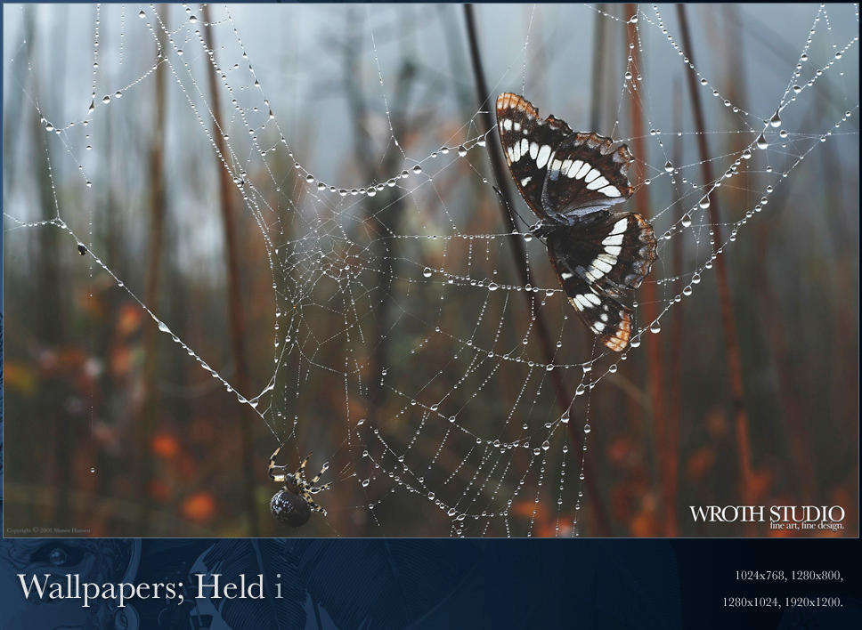 Held - wallpaper by wroth on DeviantArt