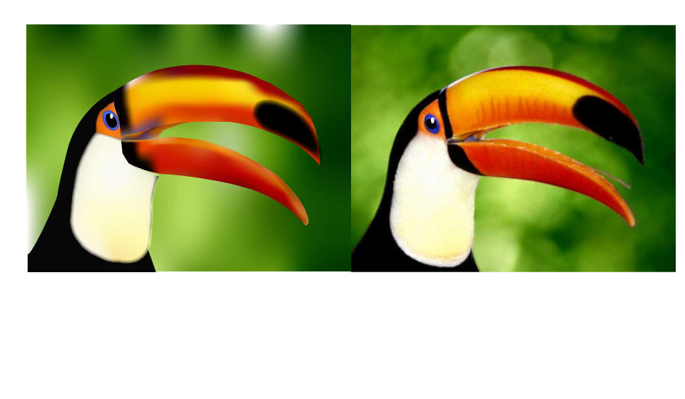 Tucano ilustrador by DenisMarques on DeviantArt
