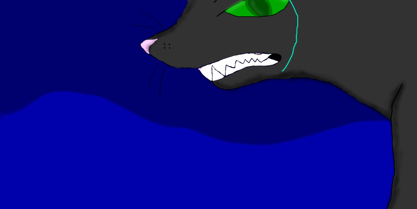 Crowpaw Tried by Lost--Woods on DeviantArt