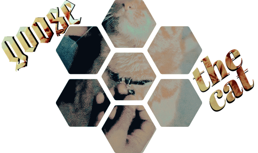 Goose by TheChanter on DeviantArt