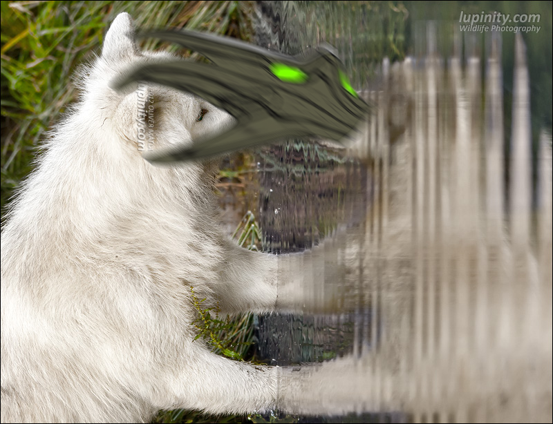 Wolves female loki Mask Transformation pt1 by ALEXabbies on DeviantArt