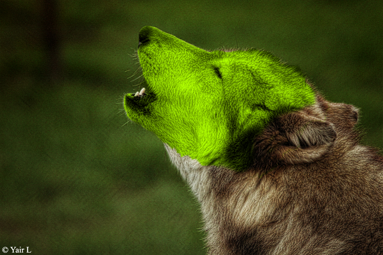 Female Loki Mask Transformation Part 4 by ALEXabbies on DeviantArt