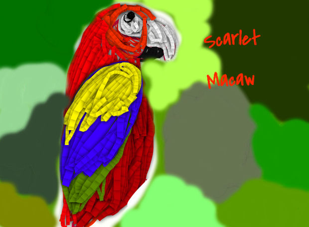 Scarlet Macaw by Superdrizzy123 on DeviantArt