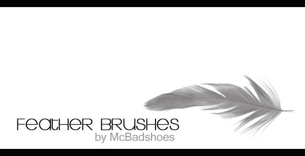 Feather Brushes by mcbadshoes on DeviantArt