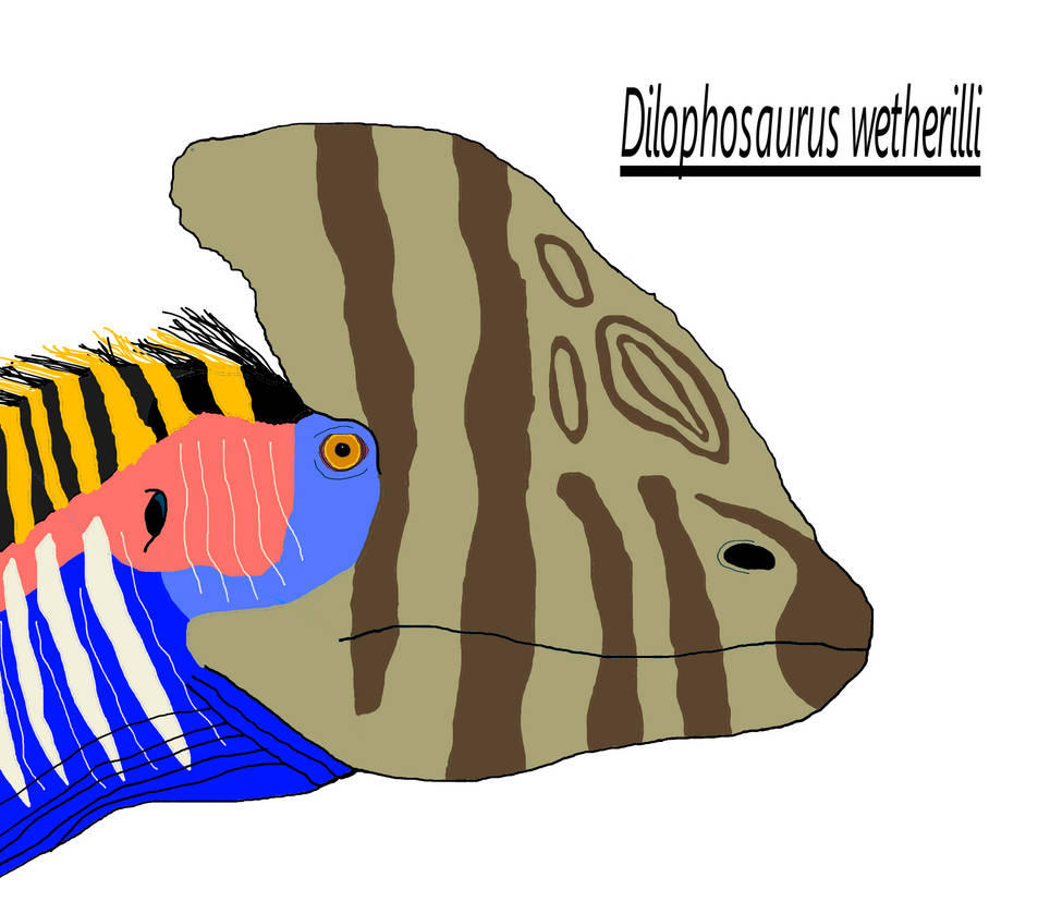 Dilophosaurus Wetherilli Head Reconstruction by AlvsBert on DeviantArt