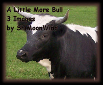 Alot O Bull 3 by FollowinTheBlackBird on DeviantArt