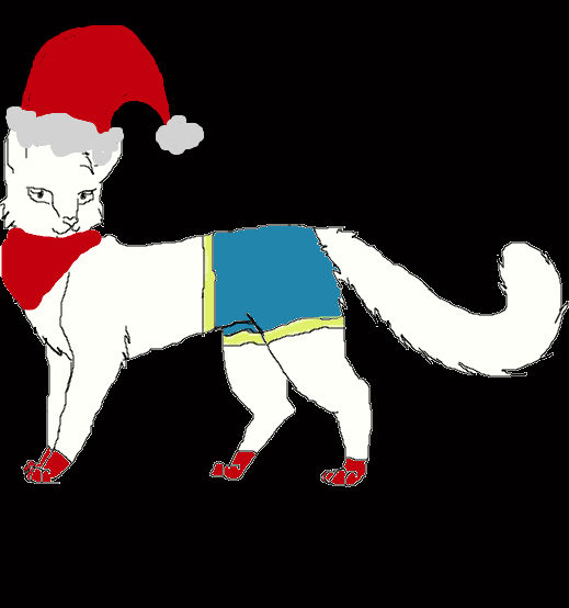 Papyrus The Cat (With a Santa Hat!) by MorganSenpai on DeviantArt