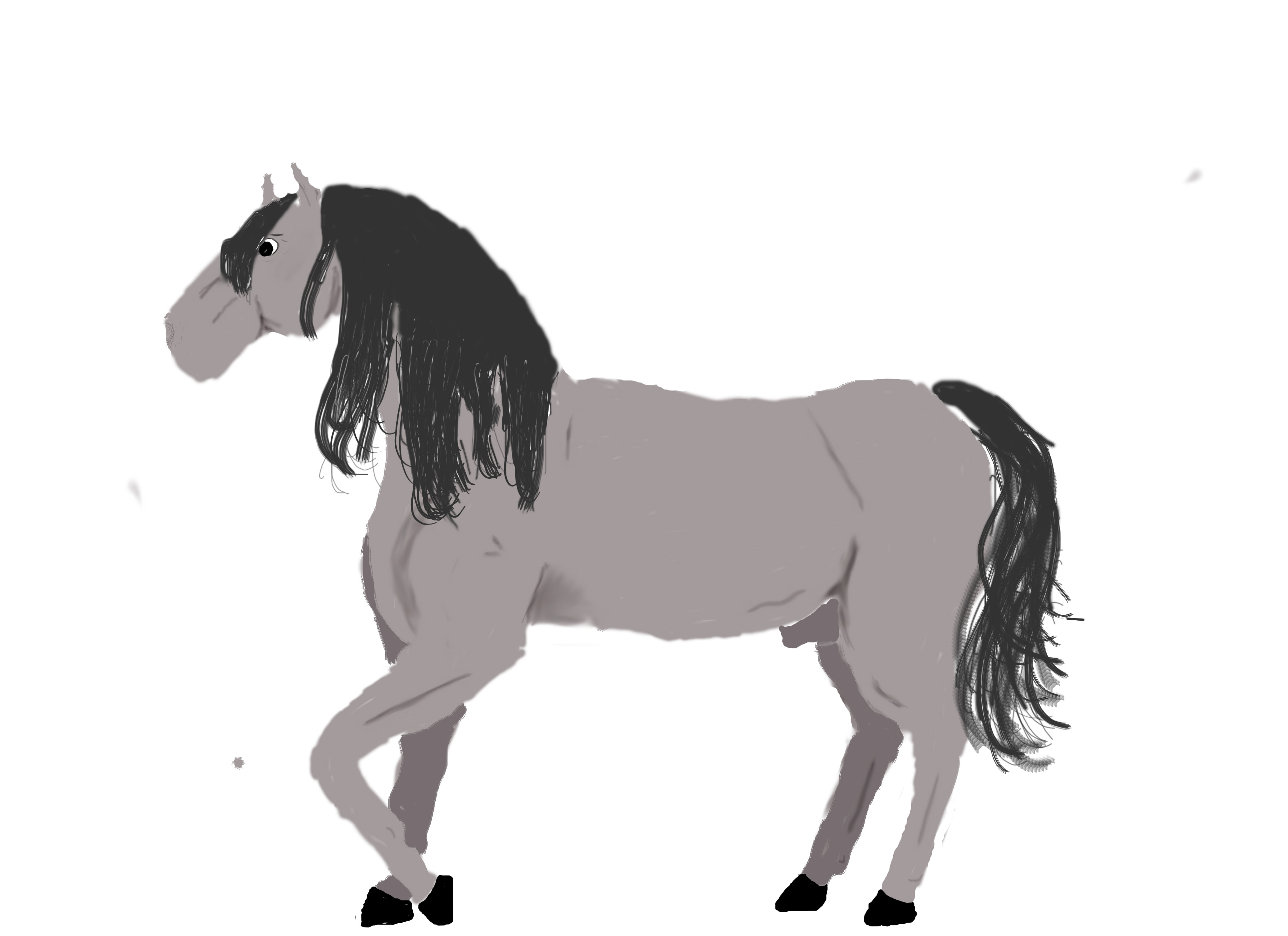 Grey Horse by Wild--at--Heart on DeviantArt