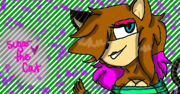 Sugar the cat wallpaper by kingofsass on DeviantArt