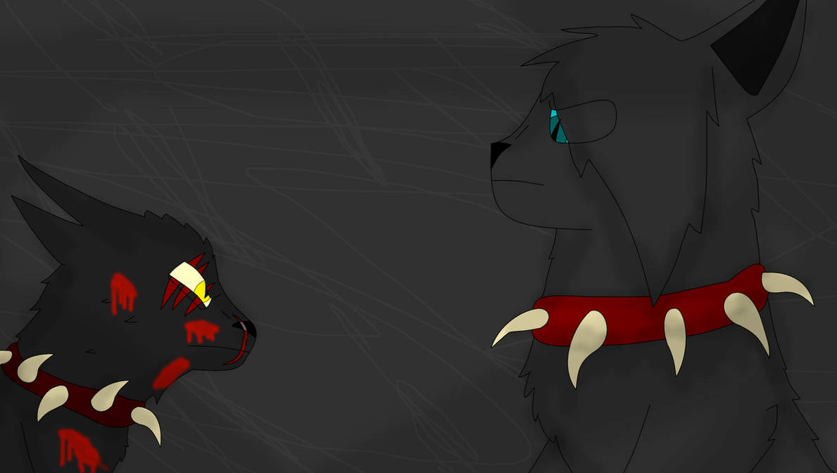 Warrior cats : Shadow and Scourge by PlagueWerewolf on DeviantArt