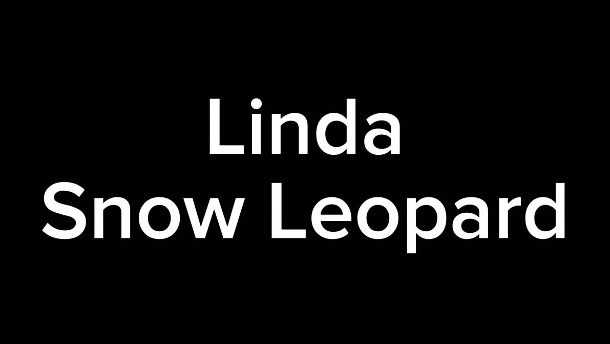 Linda Snow Leopard Voice Actors by Metalheart2372 on DeviantArt