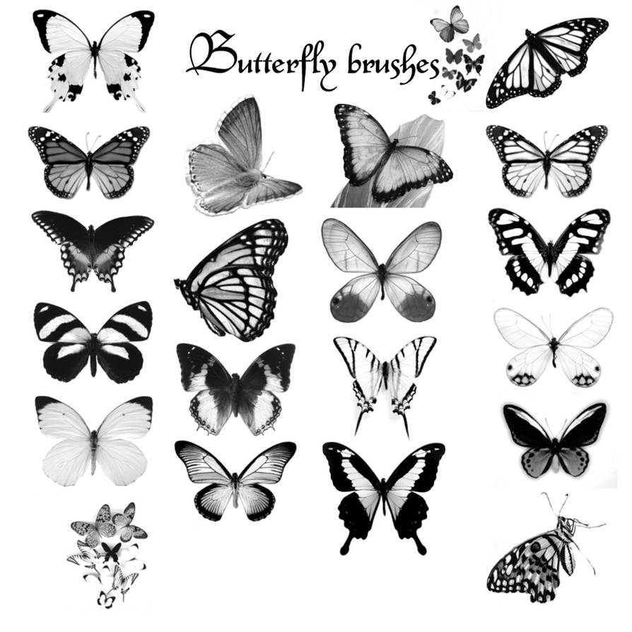 Butterfly Brushes by shahar12 on DeviantArt