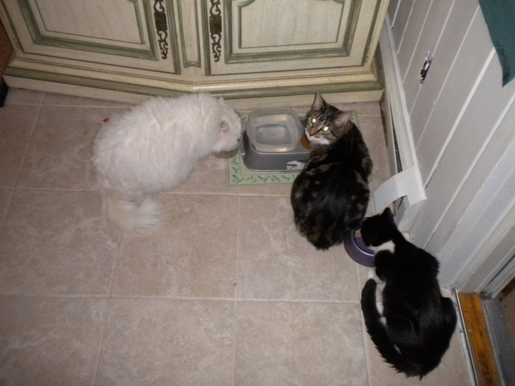 Zukia by atkski on DeviantArt