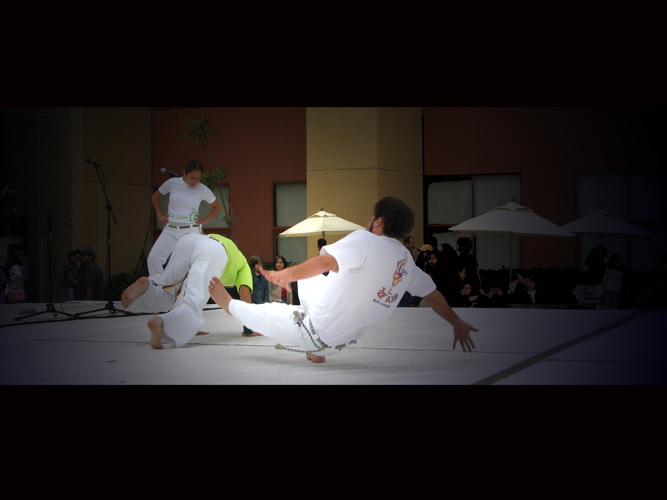 Capoeira I by Ocarina-Boy on DeviantArt