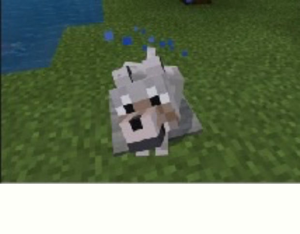 Minecraft wolf. by Wolfgod320 on DeviantArt