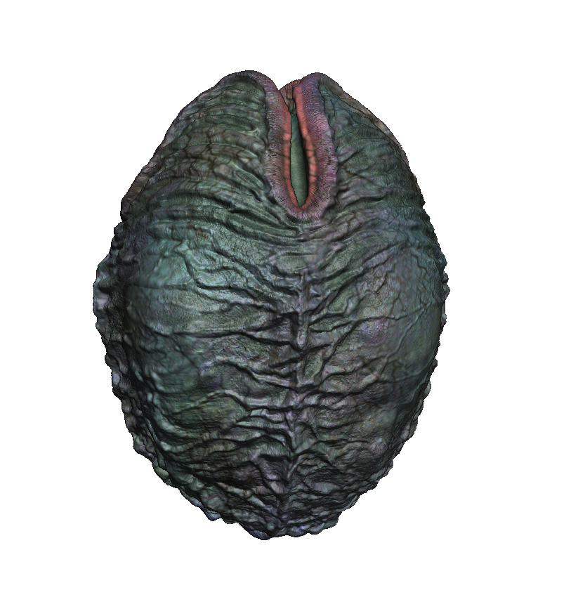 egg 2 by meeshell-stock on DeviantArt