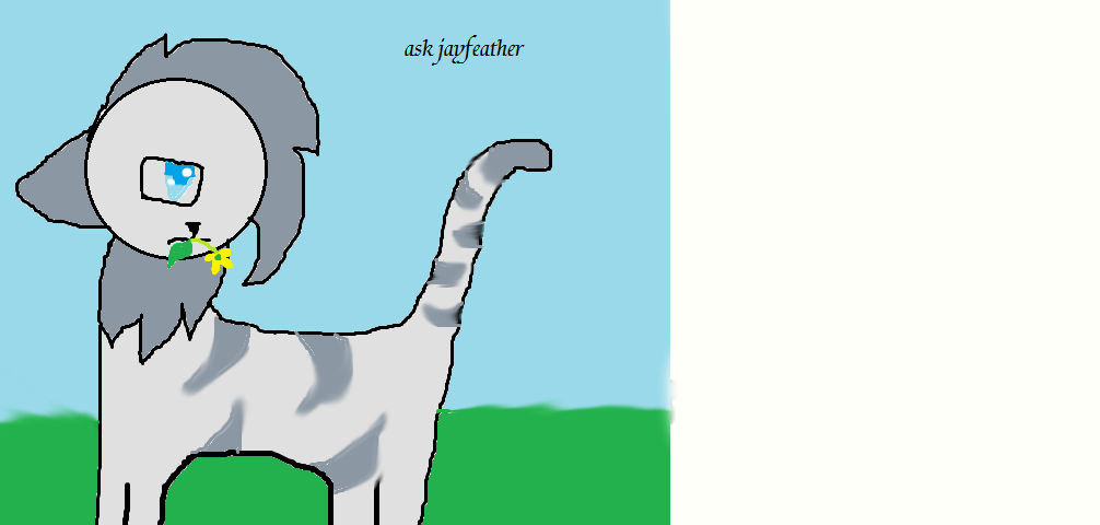 Ask jayfeather by Jayfeather-foreverXx on DeviantArt