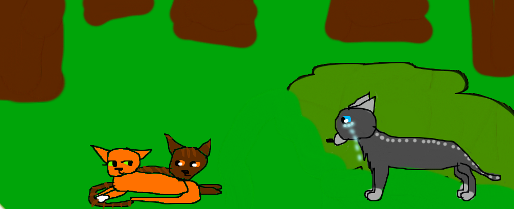 Ashfur is standing alone by Scourgetheeartist on DeviantArt