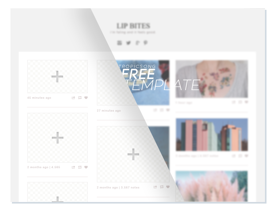 FREE template [ .PSD ] by tropicsong on DeviantArt