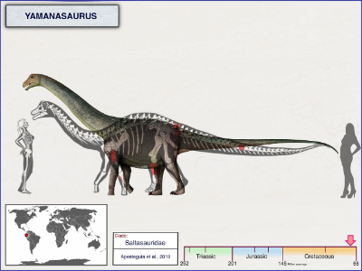 Yamanasaurus by cisiopurple on DeviantArt