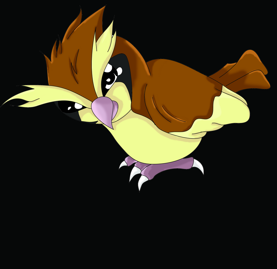 Pidgit by Takama on DeviantArt