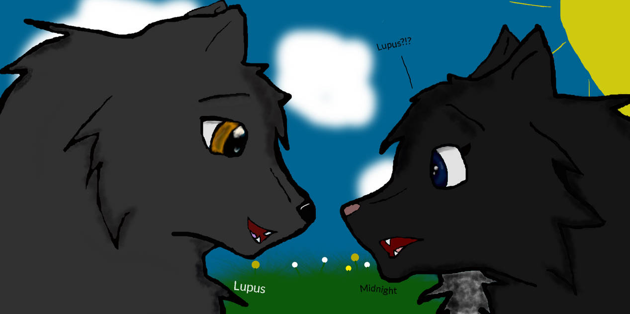 Wolf drawings :P by WolfPaw862001 on DeviantArt