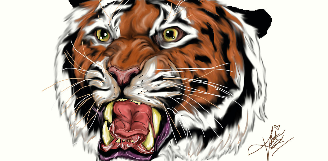 Angry Tiger by Countrygal1123 on DeviantArt