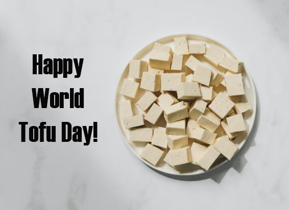 Happy World Tofu Day! by Uranimated18 on DeviantArt