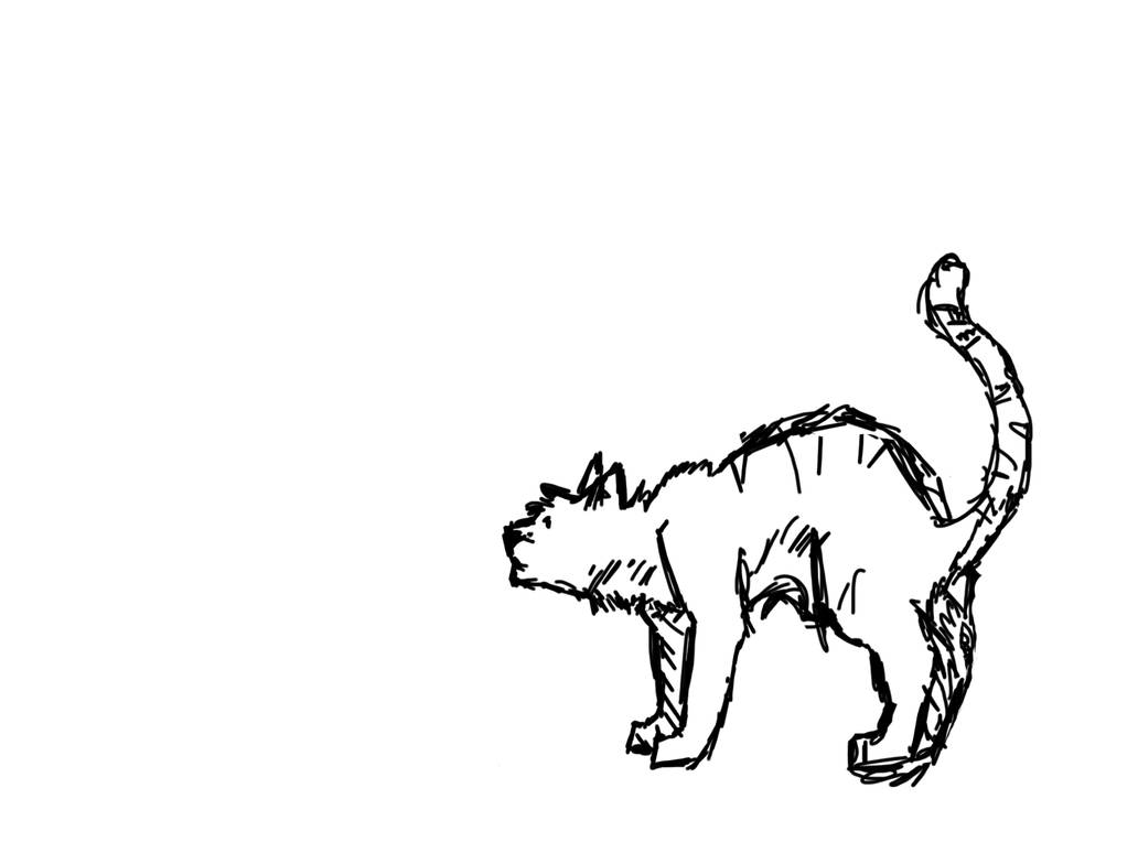 Cat Arched Back by Finchflight29 on DeviantArt