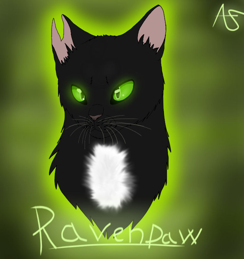 RavenPaw A1 by L-i-n-e-S on DeviantArt