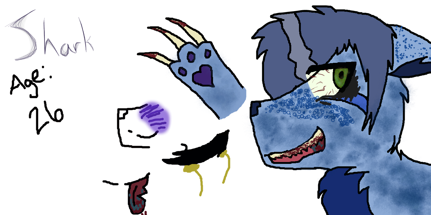 Shark Ref. by GalexStarr on DeviantArt