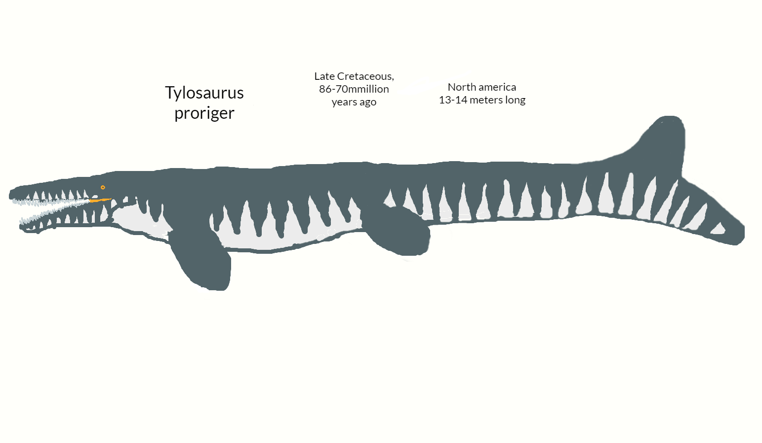 Tylosaurus proriger by MakairodonX on DeviantArt