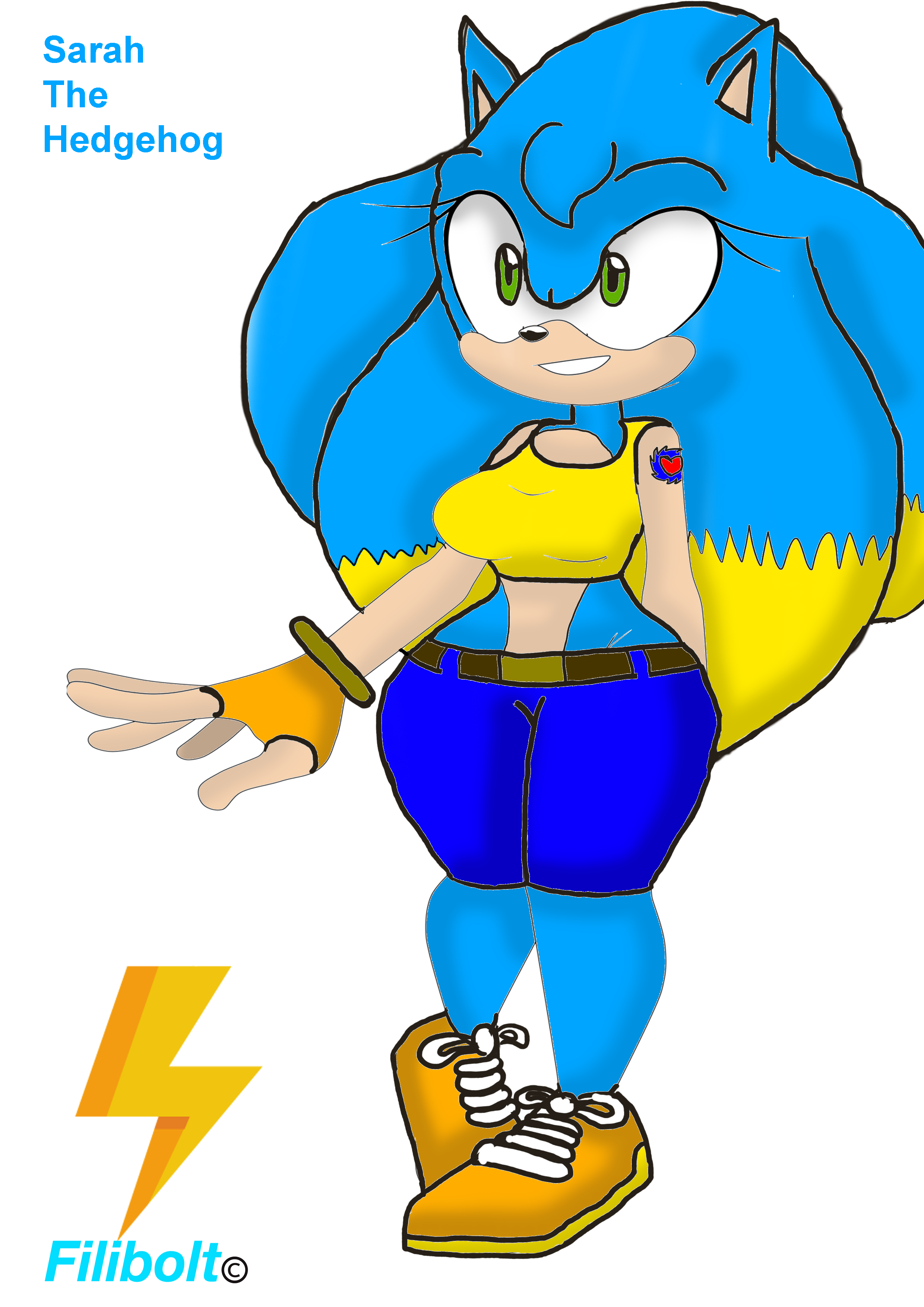 Sarah the Hedgehog by filibolt on DeviantArt