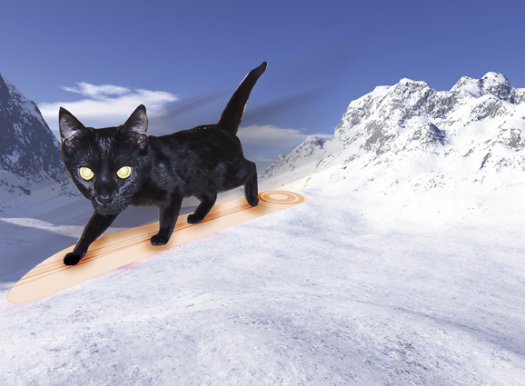 Snowboarding Cat by MetalWar on DeviantArt