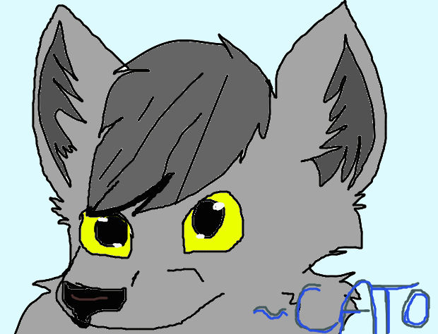 Young Cato by Gingerpumpkinspice on DeviantArt