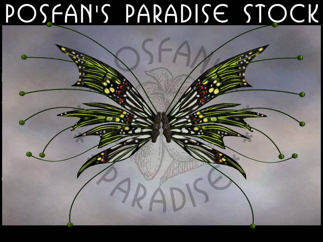Enchanted Fey Wings 002 by poserfan-stock on DeviantArt