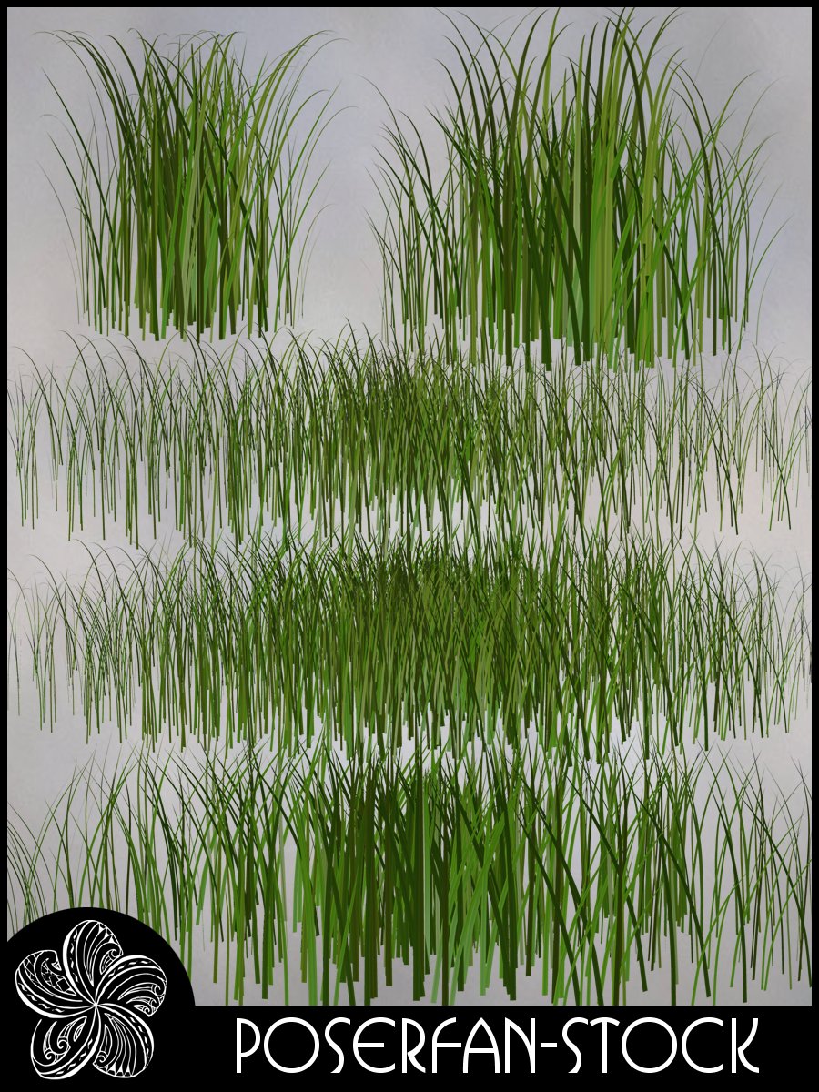 Grass 003 by poserfan-stock on DeviantArt