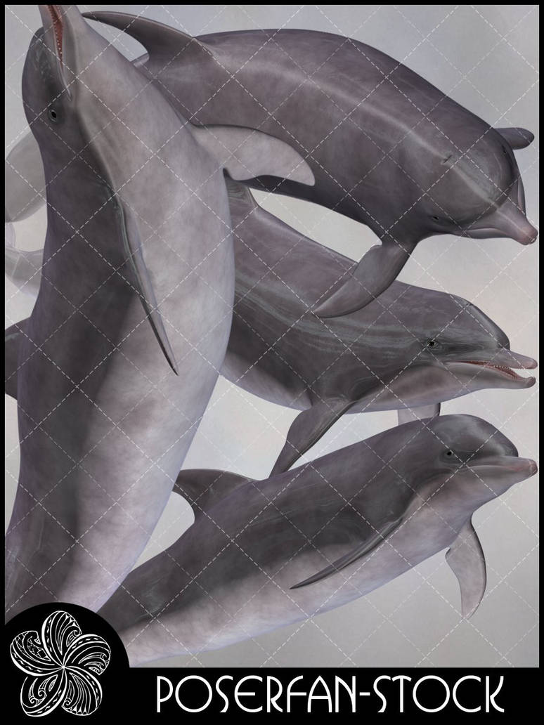 Dolphins 005 by poserfan-stock on DeviantArt