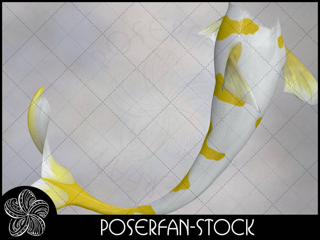 Koi Mertail by poserfan-stock on DeviantArt