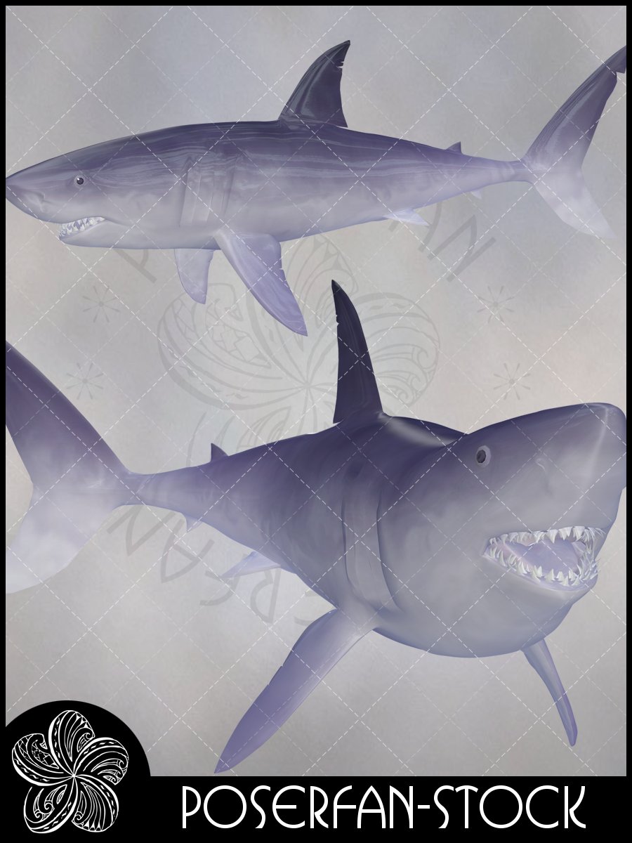 Shark 001 by poserfan-stock on DeviantArt